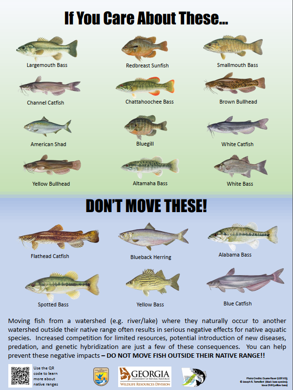Types Of Freshwater Fish In Georgia