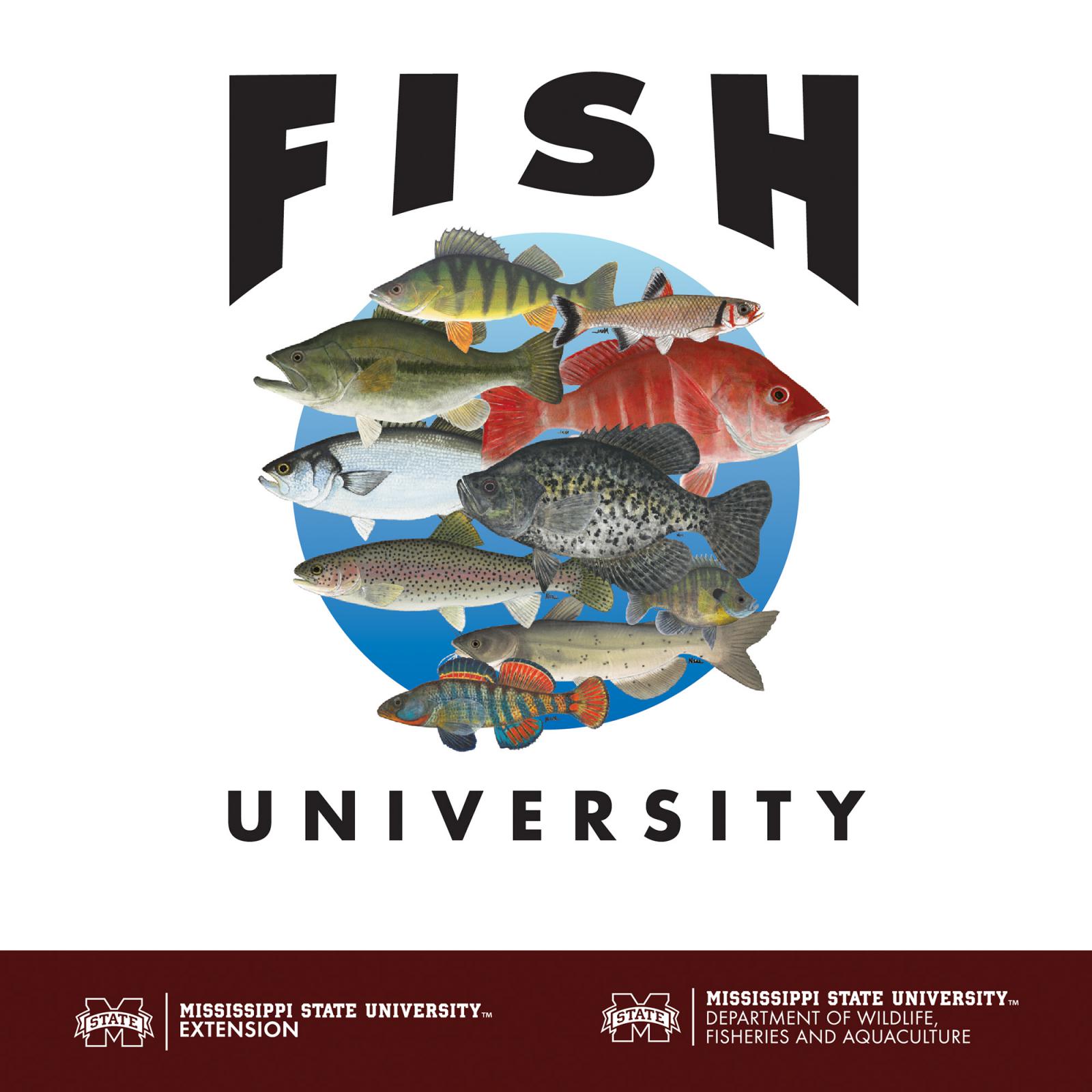 Fish Adaptations – Georgia Chapter American Fisheries Society